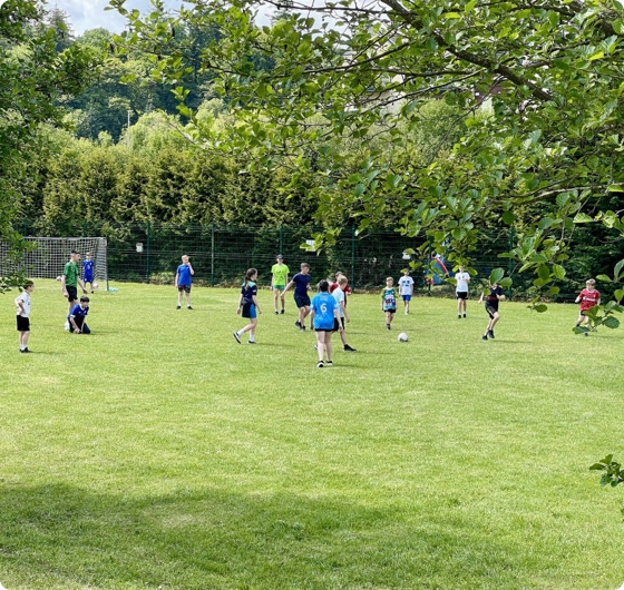 Scouts / Clubs | Hidden Valley | Wicklow, Ireland